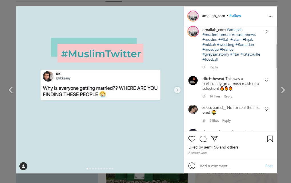 Mysteries from Muslim Twitter: Ratatouille/French Hijab Ban – Brown ...